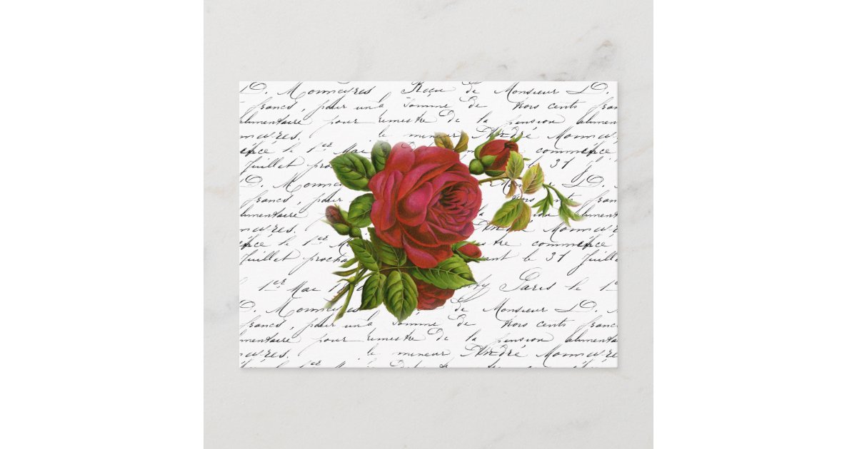 Vintage Black White French Typography Red Rose Postcard | Zazzle