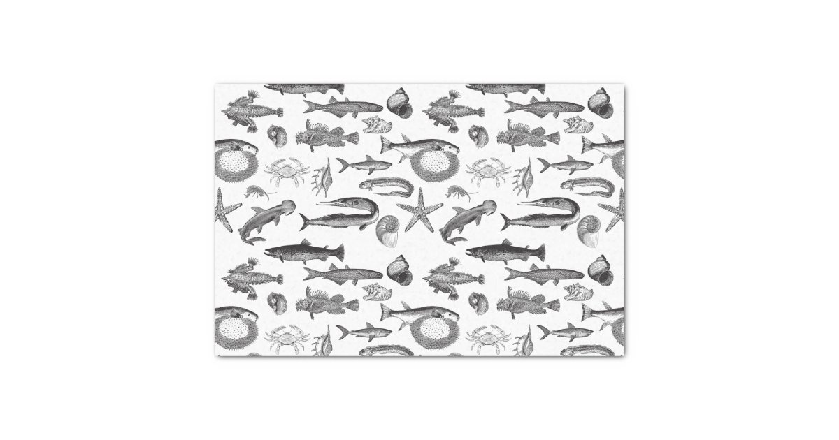 Vintage Black & White Line Art Sea Creatures Tissue Paper | Zazzle