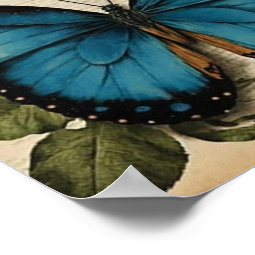 Vintage Blue Butterfly Pink Rose Blue Hydrangea Poster | Zazzle