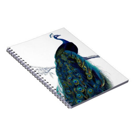 Vintage Blue Elegant Colorful Peacock Notebook | Zazzle