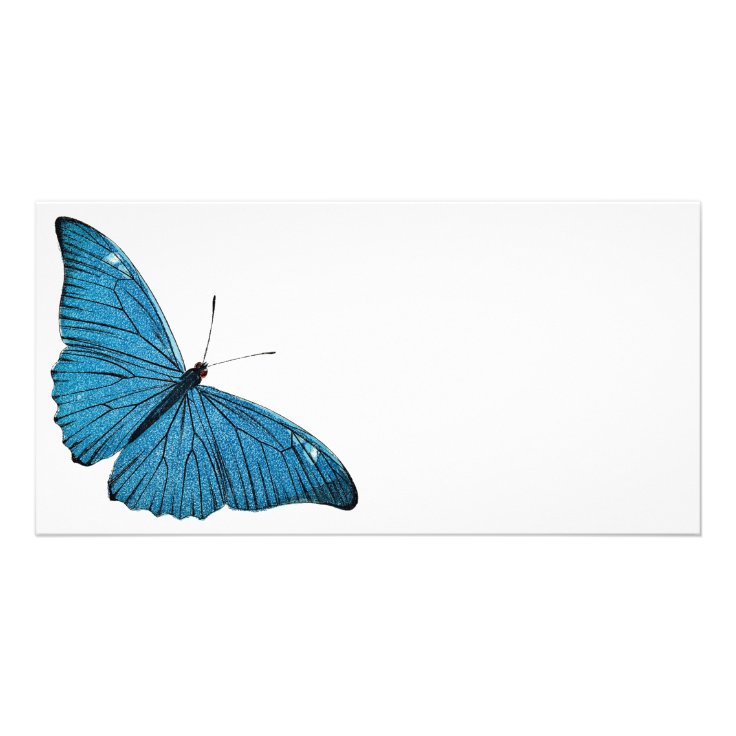Vintage Blue Morpho Butterfly Customized Template | Zazzle