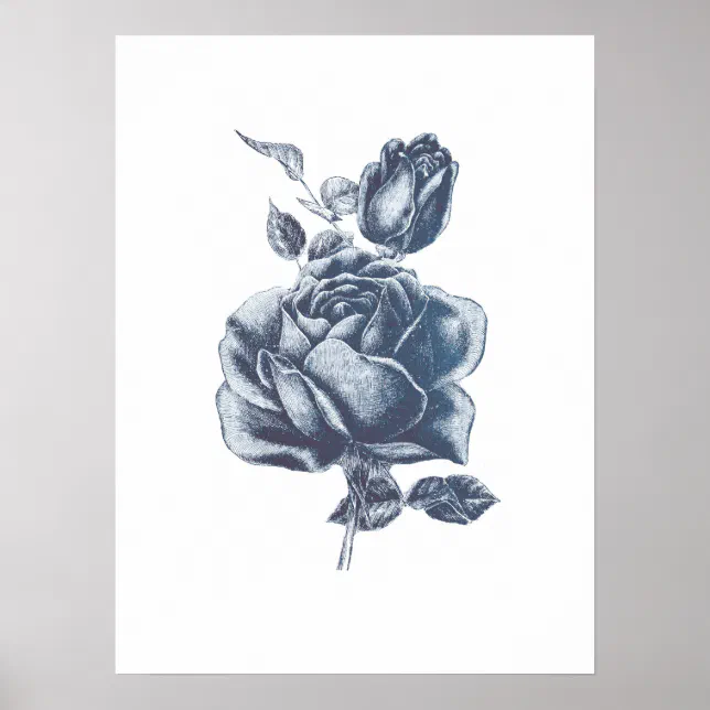 Vintage Blue Rose Drawing Poster | Zazzle