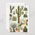 Vintage Botanical Cactus Illustration Postcard | Zazzle