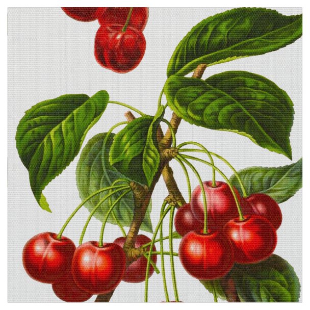 Red cherries fabric | Zazzle