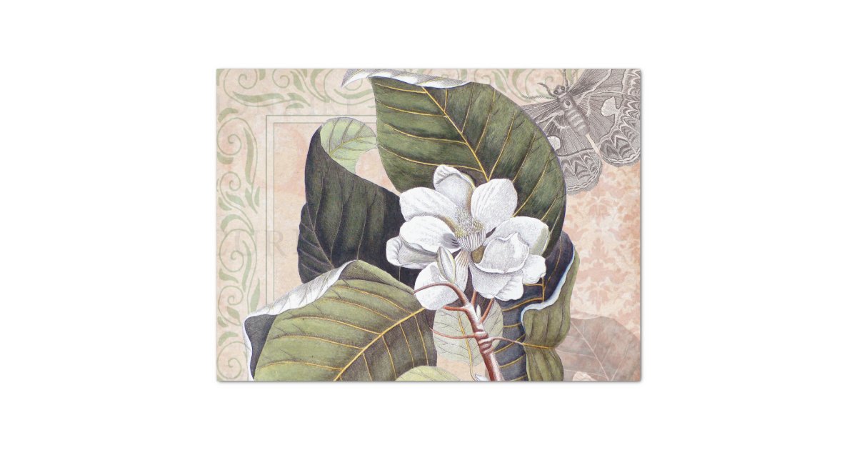 Vintage Botanical Collage with White Magnolia Tissue Paper | Zazzle