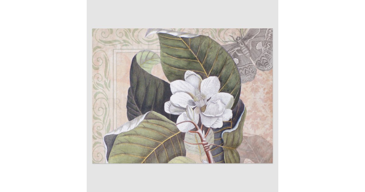 Vintage Botanical Collage with White Magnolia Tissue Paper | Zazzle