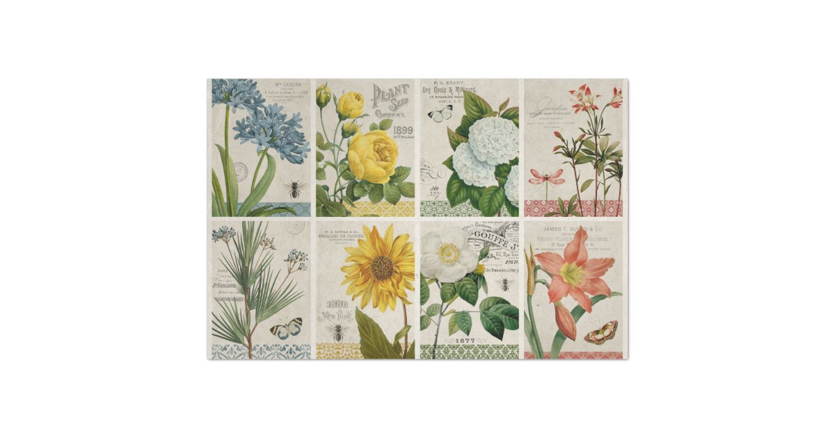 Vintage Botanical Flowers Decoupage Tissue Paper | Zazzle