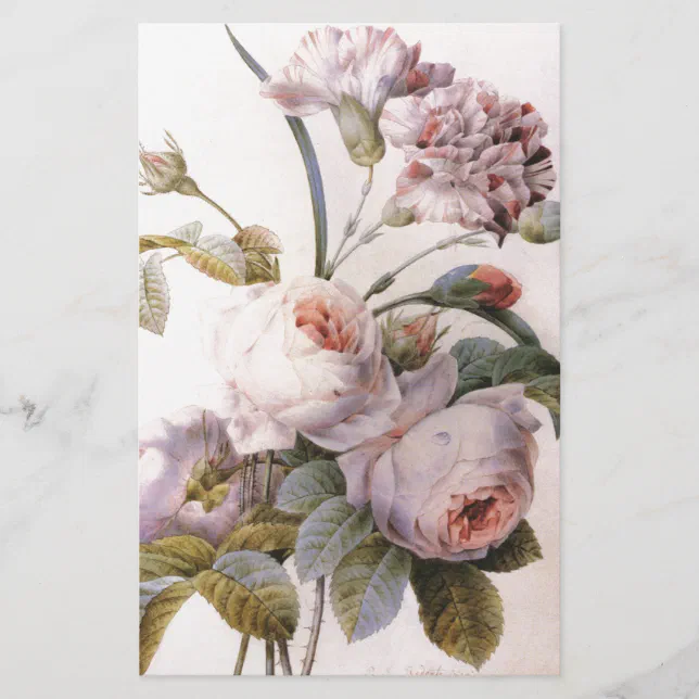 vintage botanical illustration, pink rose | Zazzle