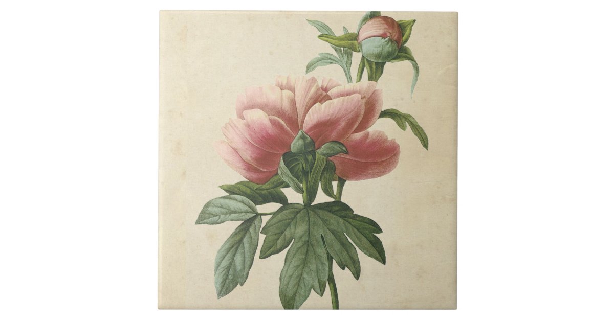 Vintage Botanical Peony Ceramic Tile | Zazzle