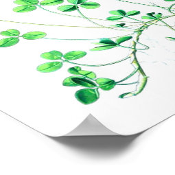 Vintage Botanical Poster - Clover | Zazzle