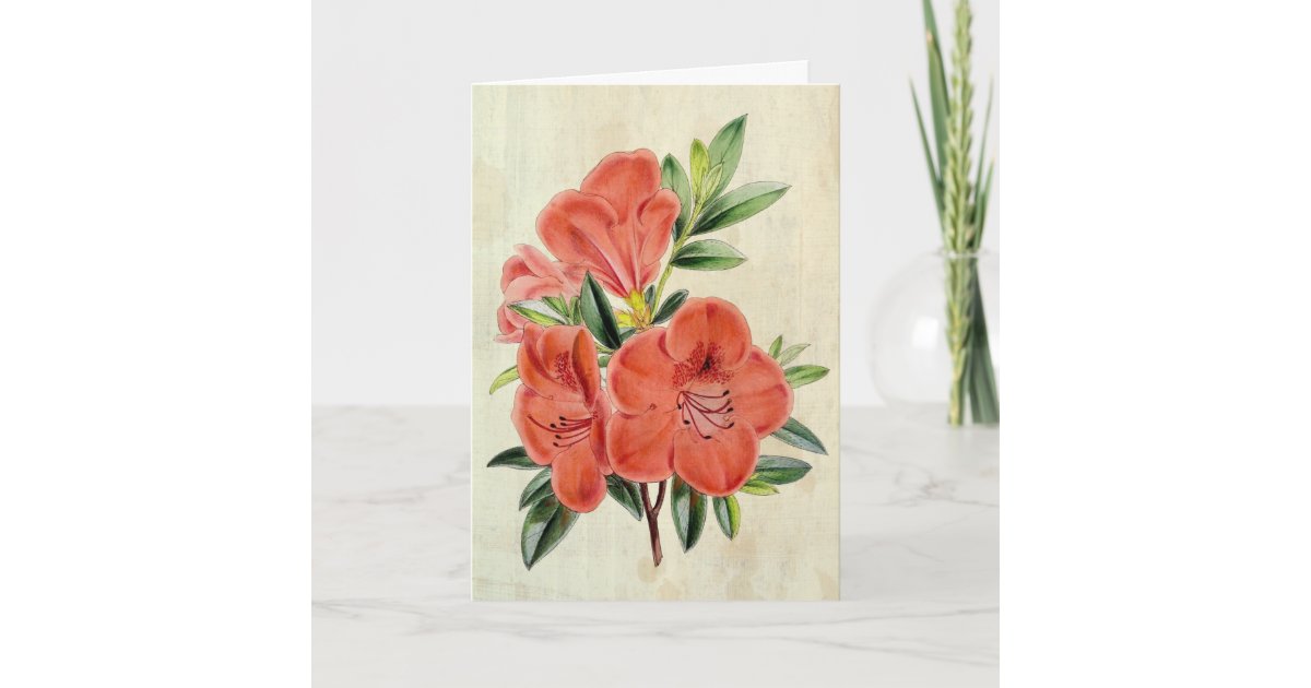 Vintage Botanical President Azalea Card | Zazzle