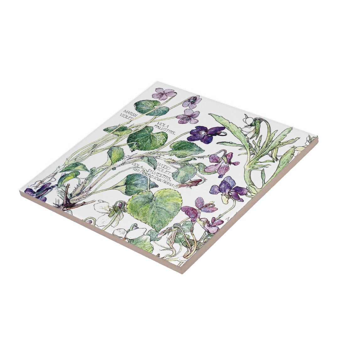 Vintage Botanical Violet Wildflower Flowers Tile | Zazzle