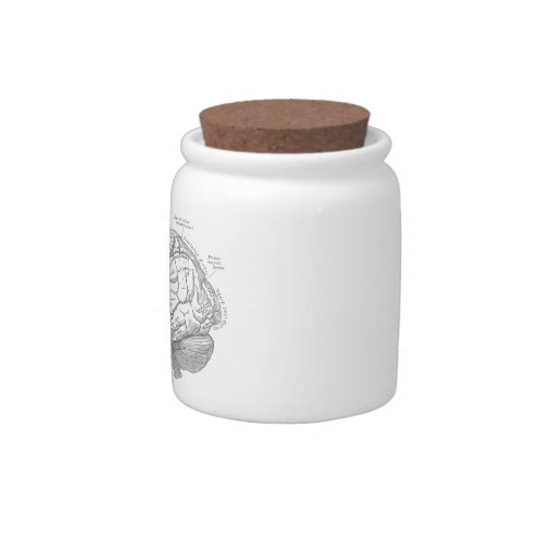 Vintage Brain Anatomy Candy Jar | Zazzle