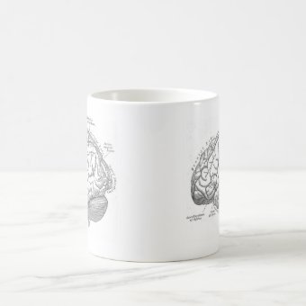 Vintage Brain Anatomy Coffee Mug | Zazzle