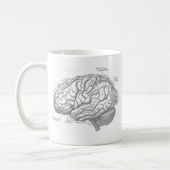 Vintage Brain Anatomy Coffee Mug | Zazzle