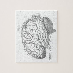 Vintage Brain Anatomy Jigsaw Puzzle | Zazzle