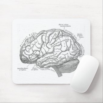 Vintage Brain Anatomy Mouse Pad | Zazzle