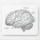 Vintage Brain Anatomy Mouse Pad | Zazzle
