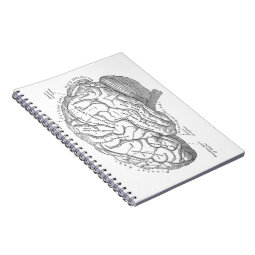 Vintage Brain Anatomy Notebook | Zazzle