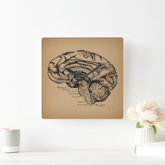 Vintage Brain Diagram Antique Medical Anatomy Art Square Wall Clock ...