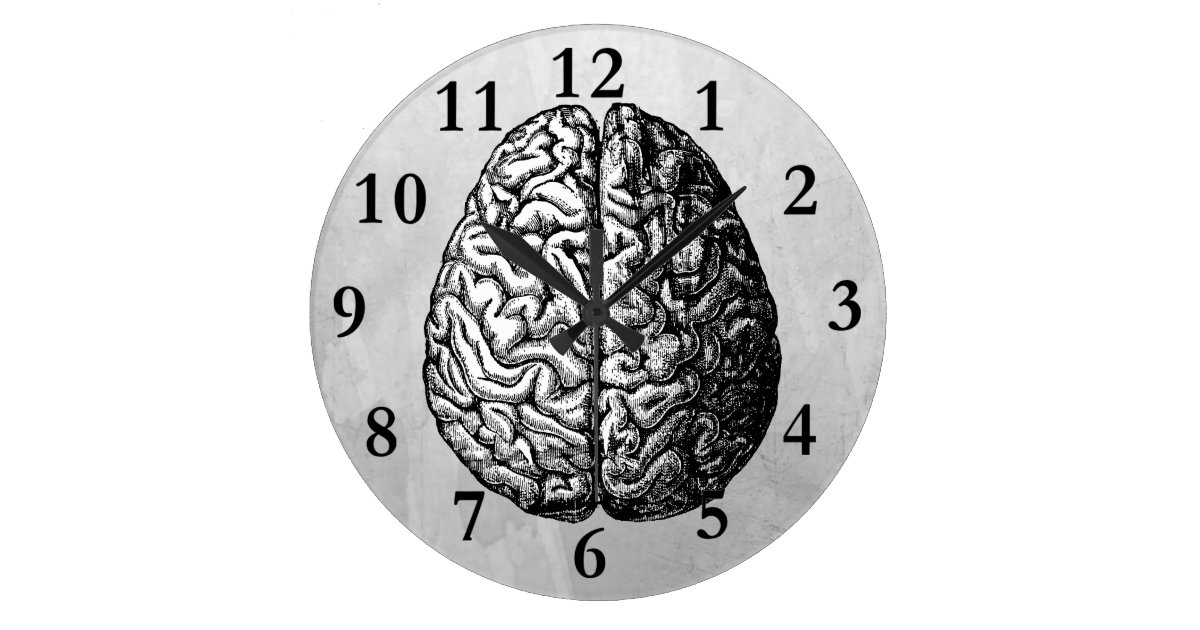 VINTAGE BRAIN DRAWING CLOCK | Zazzle
