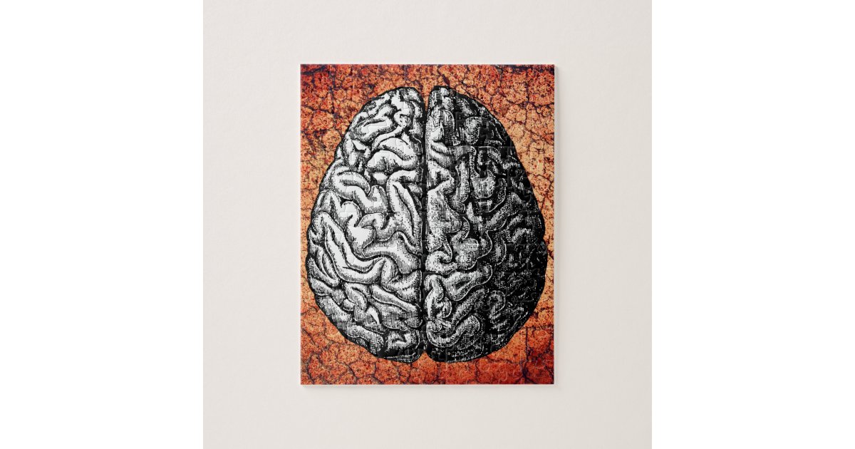 VINTAGE BRAIN DRAWING JIGSAW PUZZLE | Zazzle