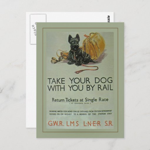 Vintage British Rail Scottie Postcard | Zazzle