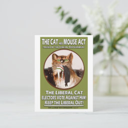 Vintage British Suffragette Cat and Mouse Act Postcard | Zazzle