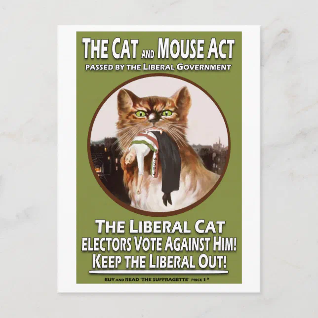 Vintage British Suffragette Cat and Mouse Act Postcard | Zazzle