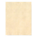 Vintage Buckskin Tan Leather Parchment Template Poster | Zazzle