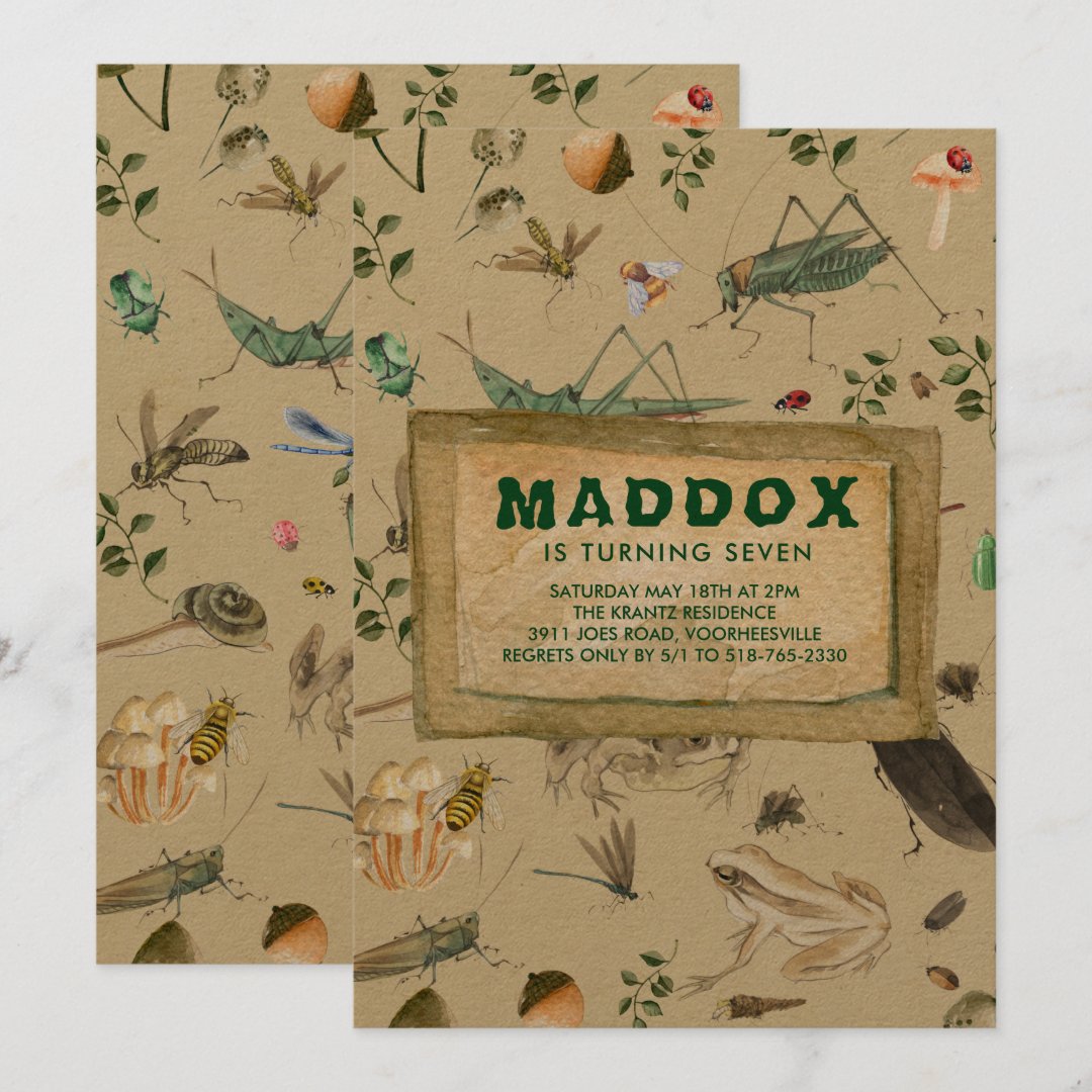 Vintage Bug Themed Birthday Party Invitation | Zazzle