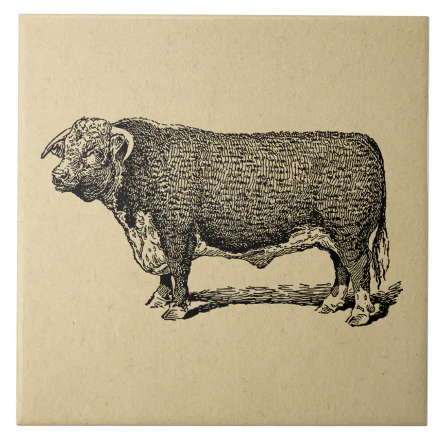 Vintage Bull Country & Farm Themed Art Ceramic Tile | Zazzle
