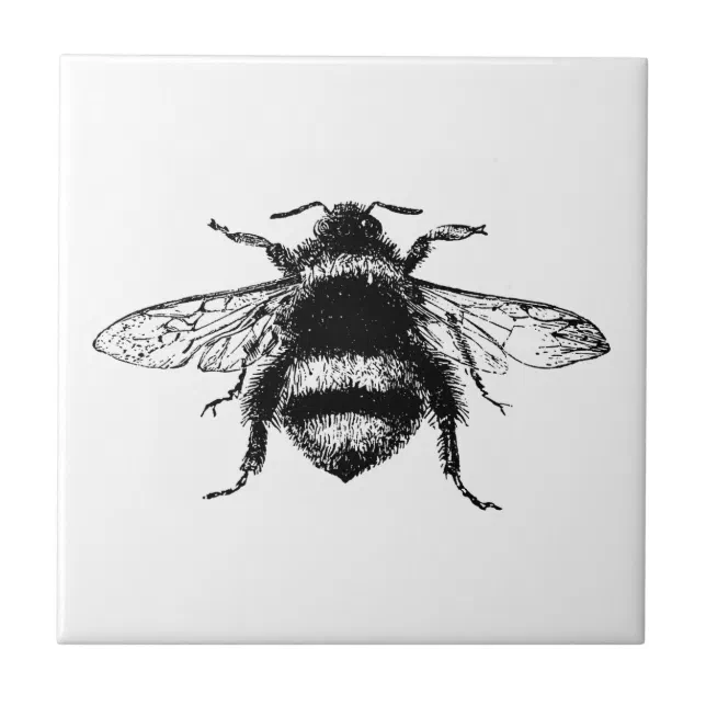 Vintage Bumble bee Ceramic Tile | Zazzle