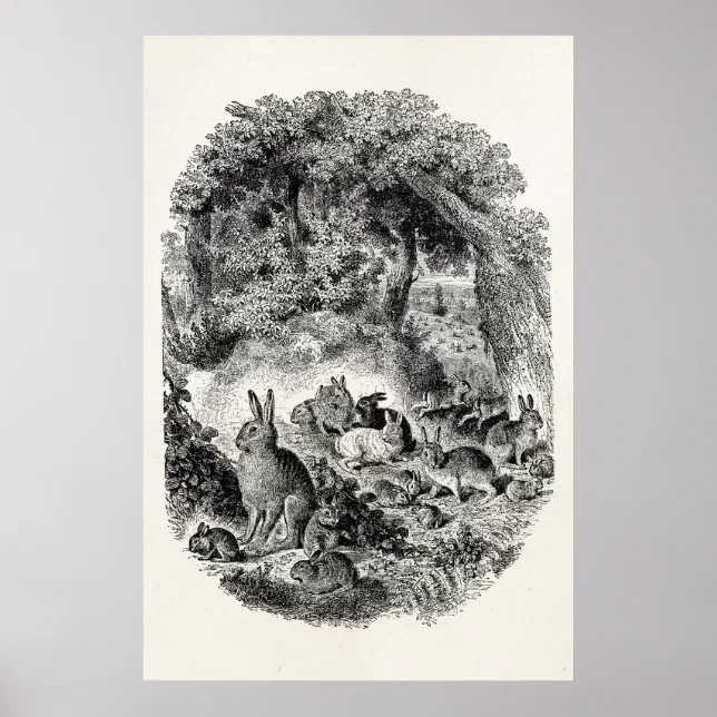 Vintage Bunny Rabbits 1800s Bunnies Rabbit Poster | Zazzle