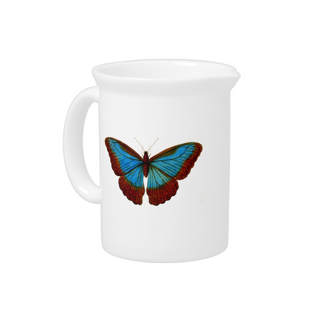 Vintage Butterfly Illustration Beverage Pitcher | Zazzle