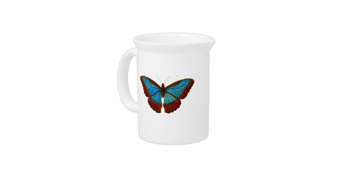 Vintage Butterfly Illustration Beverage Pitcher | Zazzle