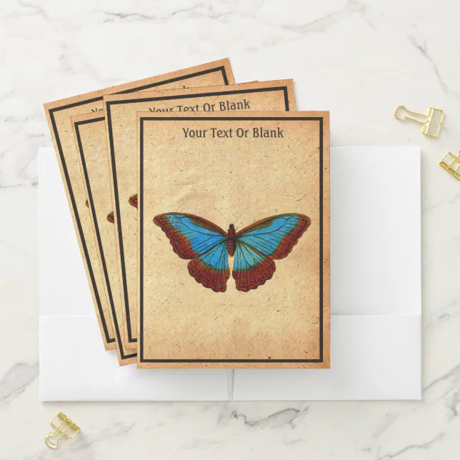 Vintage Butterfly Illustration Pocket Folder | Zazzle