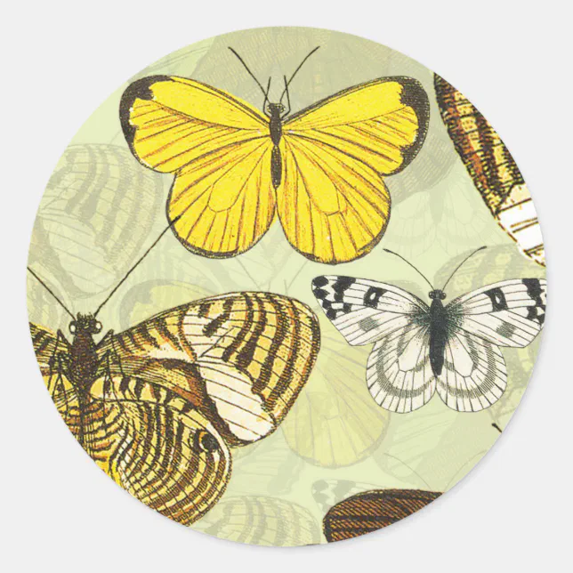 Vintage Butterfly Moth Chart Pattern Classic Round Sticker | Zazzle