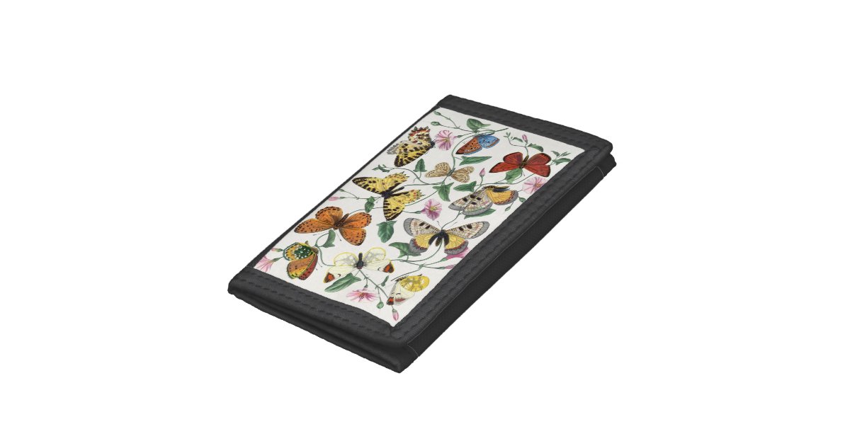 Vintage Butterfly & Moth Painting Trifold Wallet | Zazzle