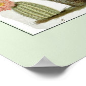 Vintage Cactus Scientific Illustration Poster | Zazzle