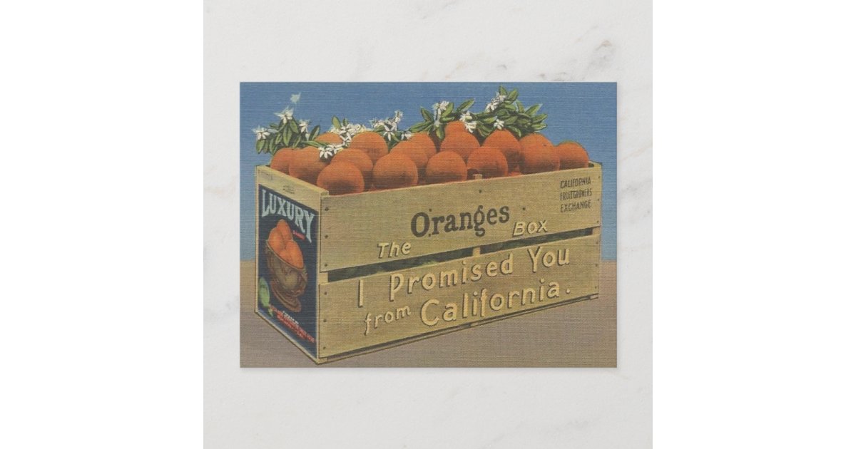 Vintage California Oranges Post Card | Zazzle