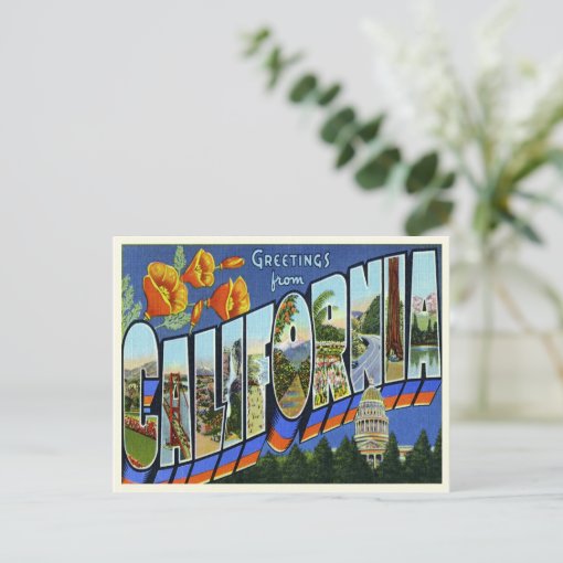 Vintage California Postcard | Zazzle