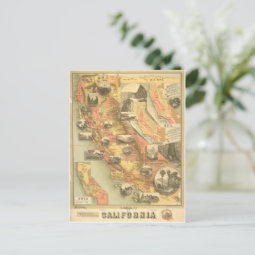 Vintage California Postcard | Zazzle