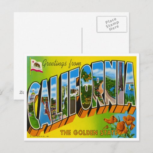 Vintage California Postcard | Zazzle