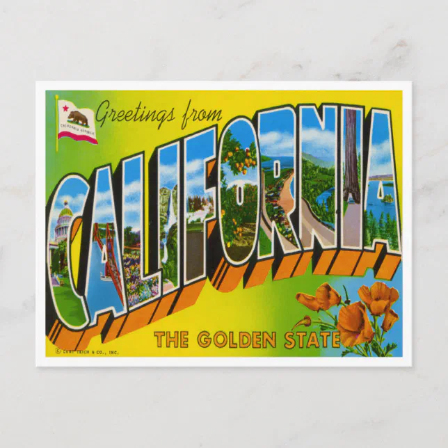 Vintage California Postcard | Zazzle