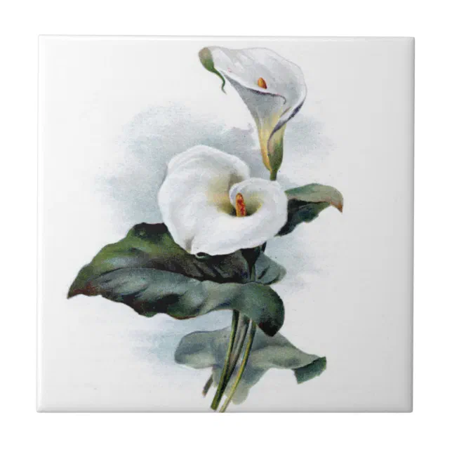 Vintage calla lily ceramic tile | Zazzle