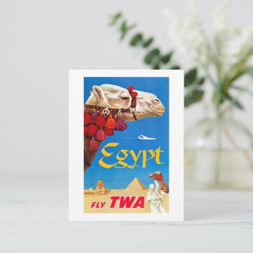 Vintage Camel and Pyramids Postcard | Zazzle