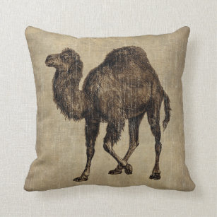 Camel Decorative & Throw Pillows | Zazzle