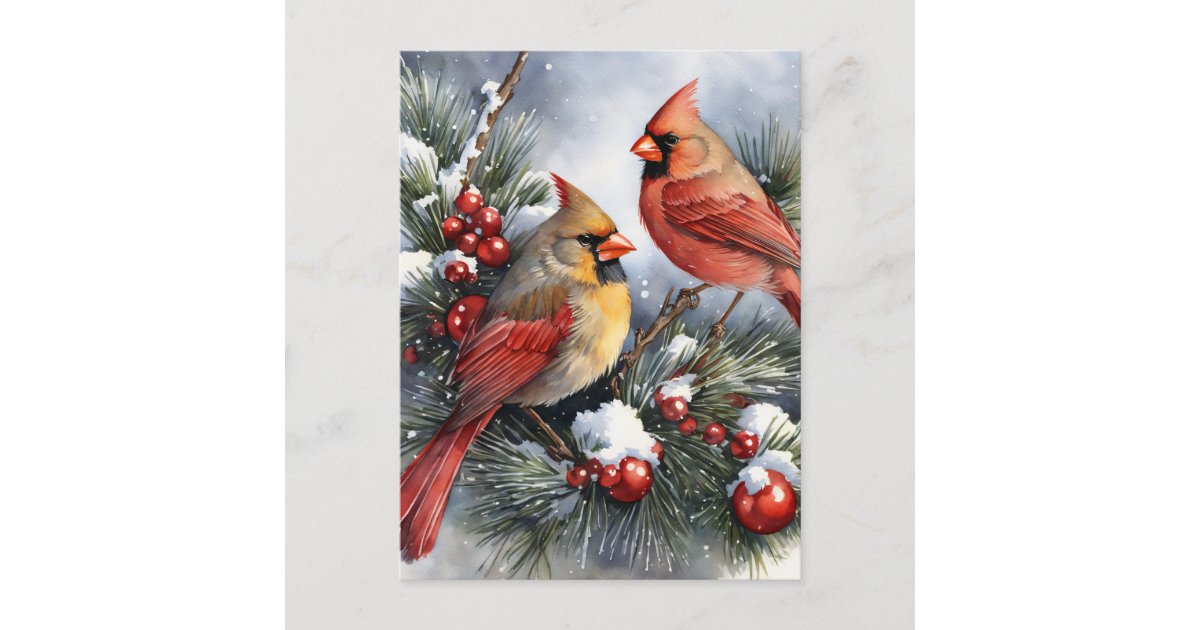Vintage Cardinal Birds Christmas Family Photo Postcard | Zazzle