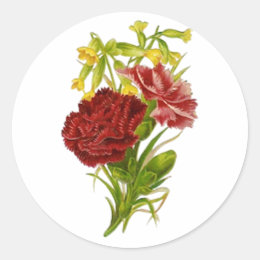 Carnation Stickers | Zazzle